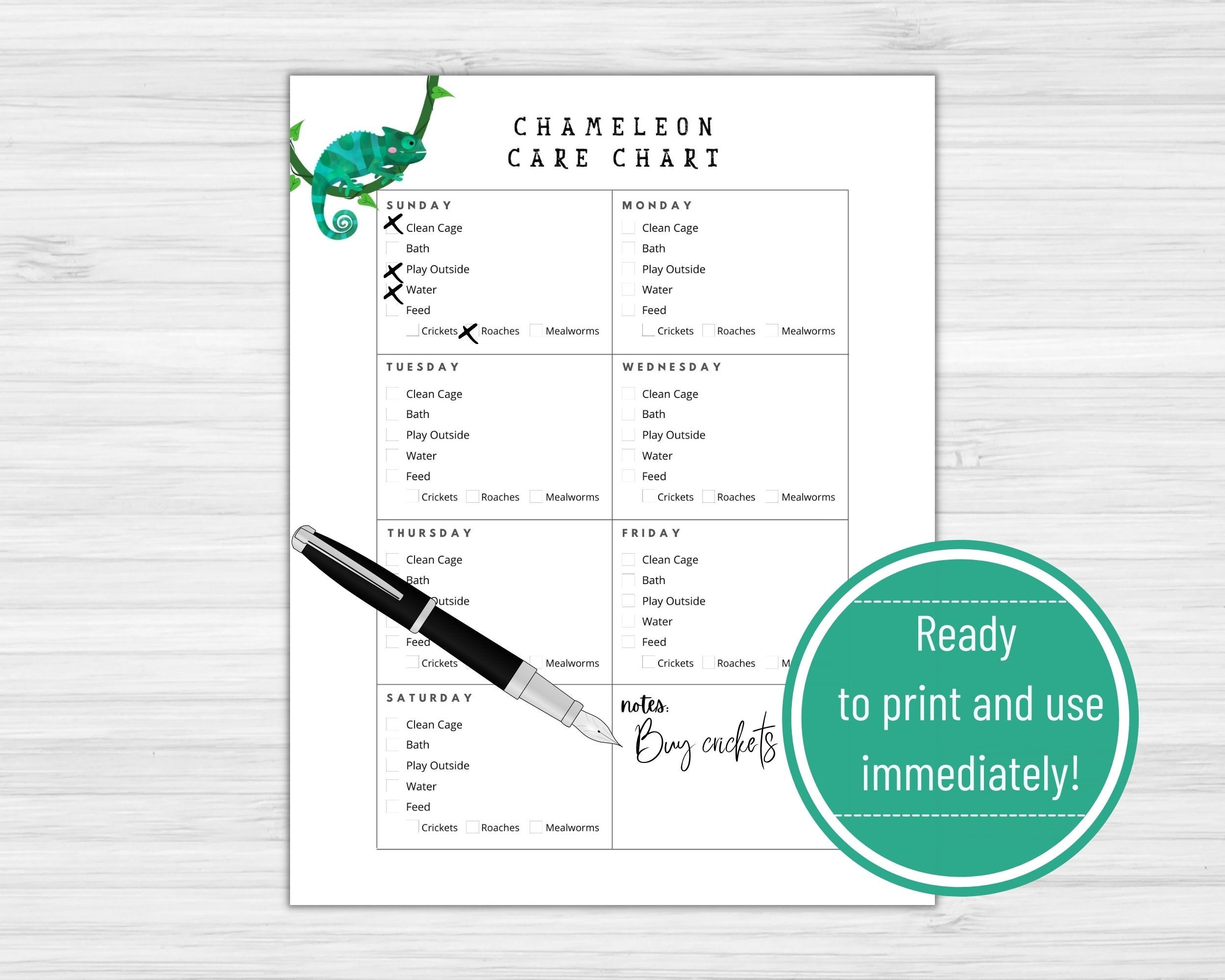 Chameleon Care Chart Printable Download - Etsy
