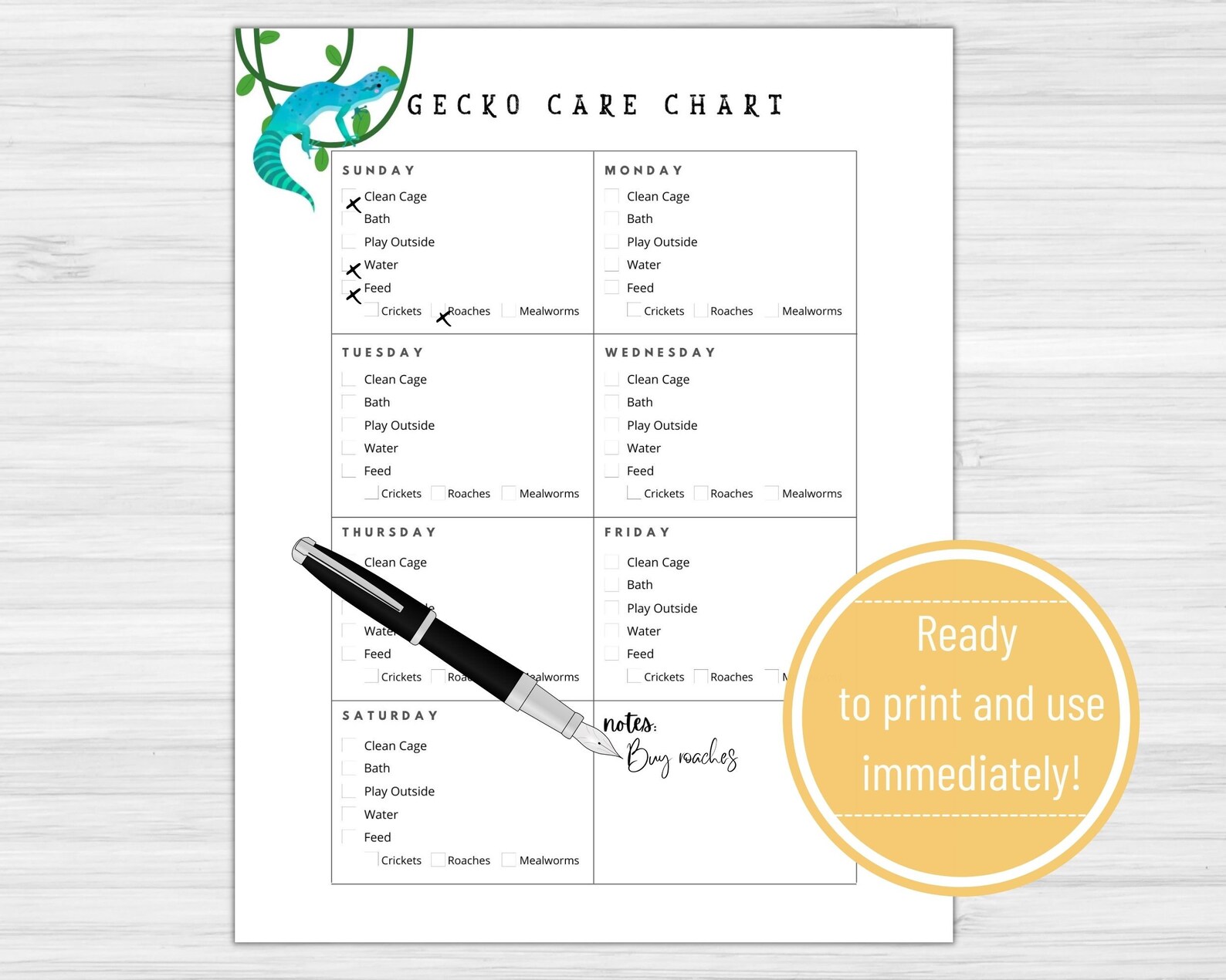 Gecko Care Chart Printable Download - Etsy