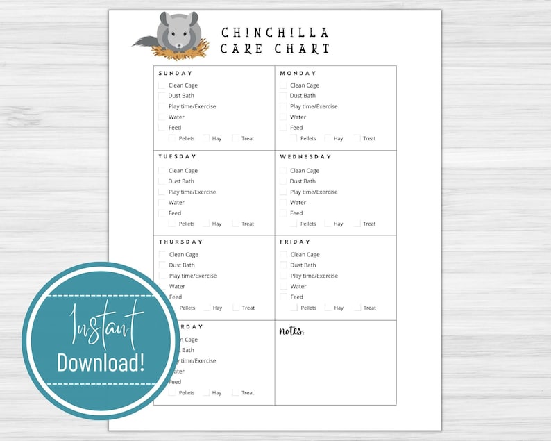 Chinchilla Care Chart Printable Download - Etsy