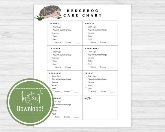 Hedgehog Care Chart Printable Download | Etsy