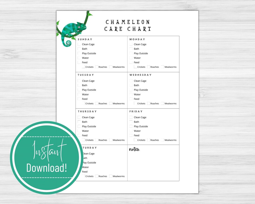 Chameleon Care Chart Printable Download - Etsy