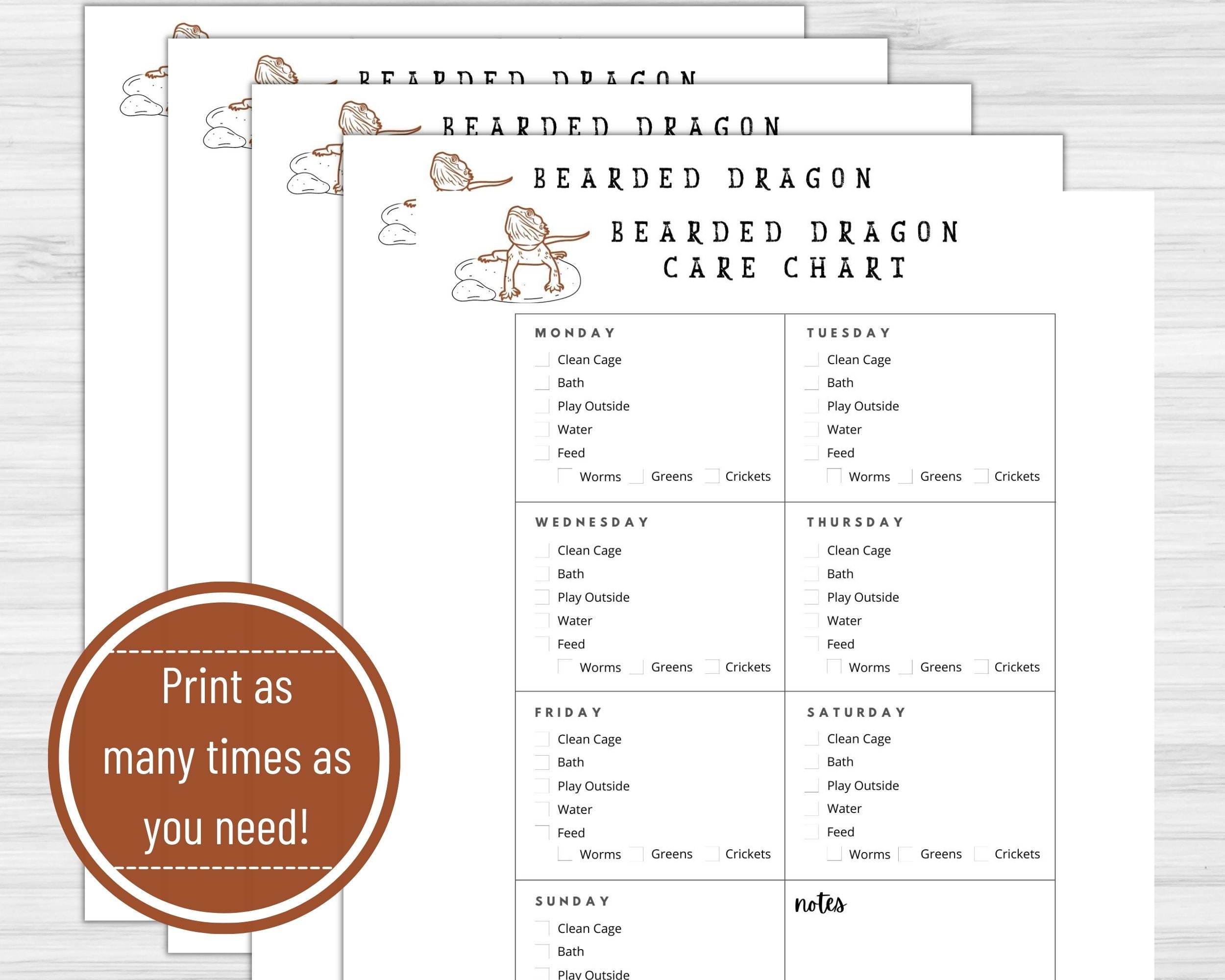 Bearded Dragon Care Chart Daily Log Printable Download - Etsy