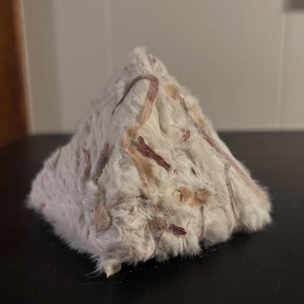 Cursed Taxidermies - Etsy