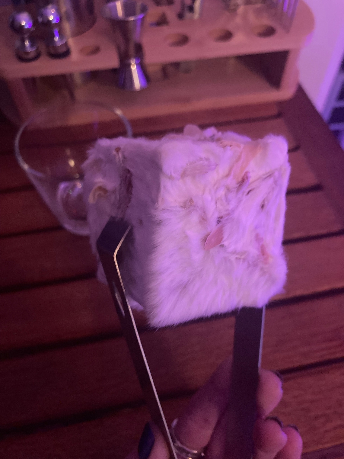 The Mice Cube | Real Taxidermy Mouse | Abstract Taxidermy Art | Funny ...