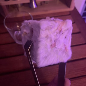 The Mice Cube | Real Taxidermy Mouse | Abstract Taxidermy Art | Funny ...