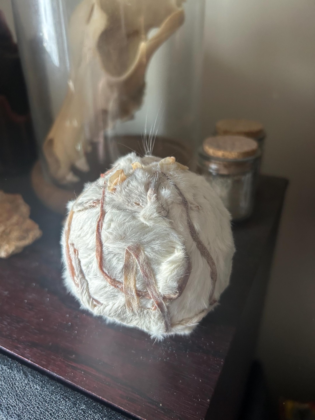 The Mice Ball | Mouse Sphere | Real Taxidermy Mouse | Abstract ...