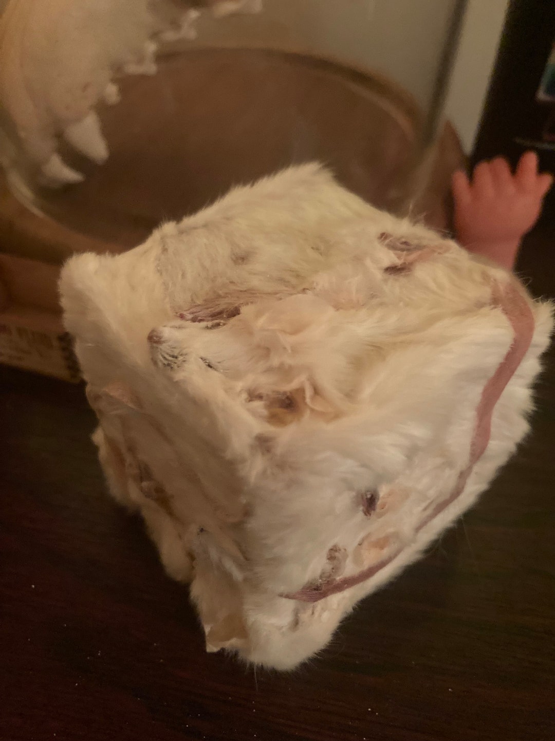 The Mice Cube | Real Taxidermy Mouse | Abstract Taxidermy Art | Funny ...