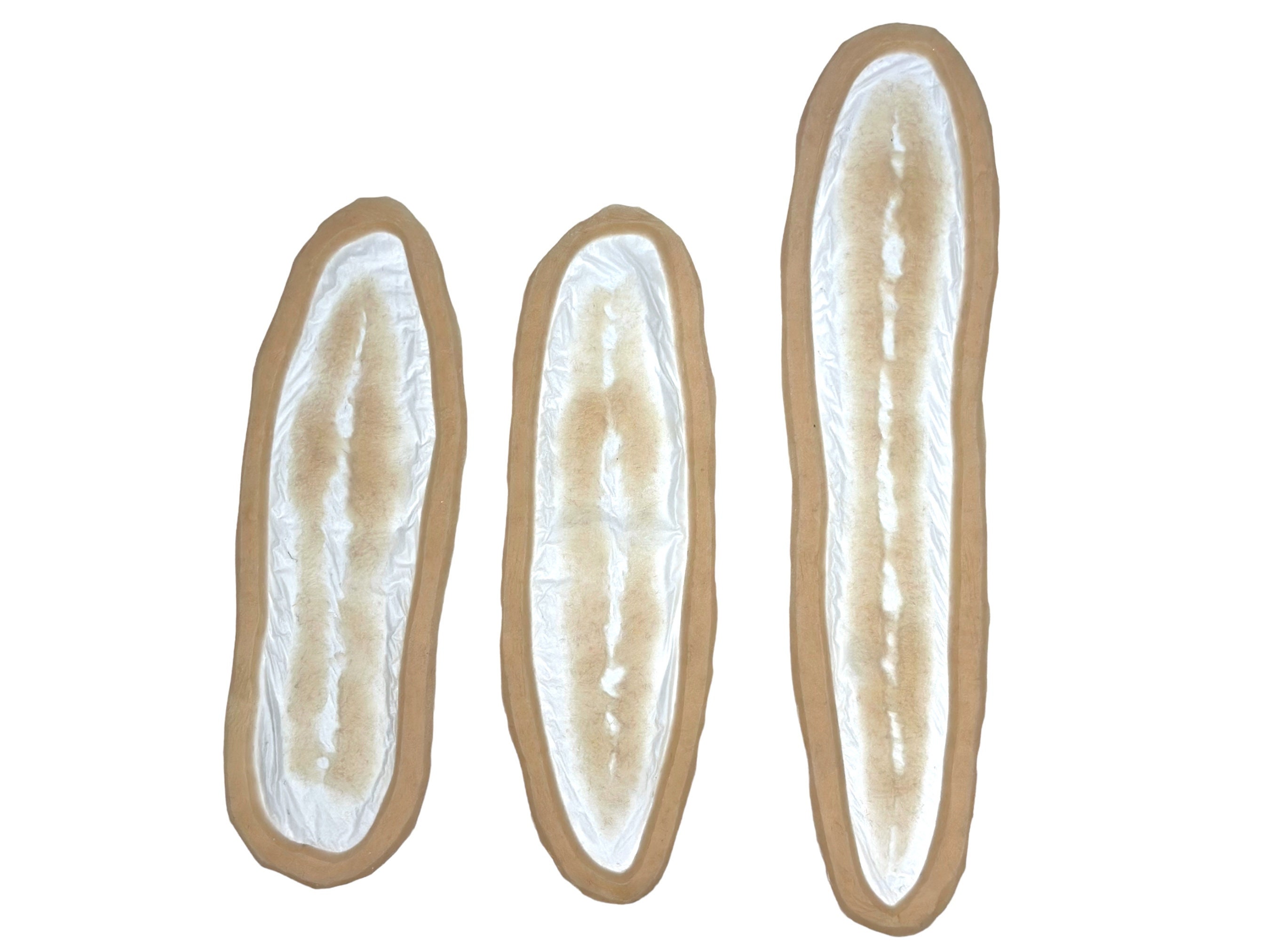 Keloid Scars Prosthetics / Set of 3 Ultra Realistic Wounds / Sfx ...