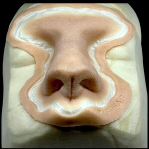 SFX Realistic Cat Nose, Animal Silicone Prosthetics, Latex Free - Etsy
