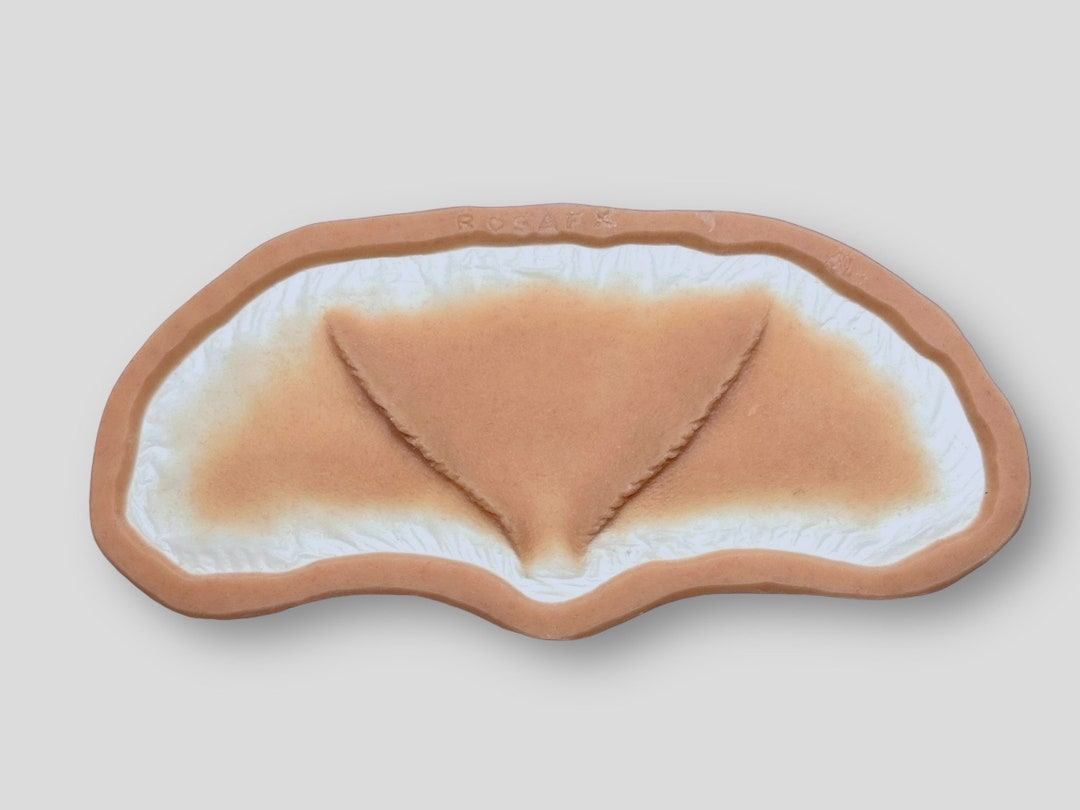 Alien Forehead Prosthetics / Snail / Mermaid / Fantasy / Sfx ...