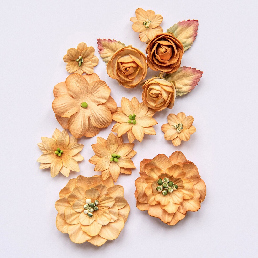 Country Blooms 49 and Market 49 and Market Country Blooms - Etsy