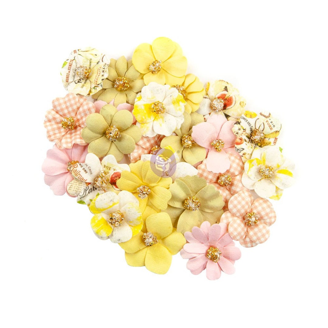 Prima 639921 Fruit Paradise 'kiwi Lime' Flowers, Prima Flowers, Flowers ...