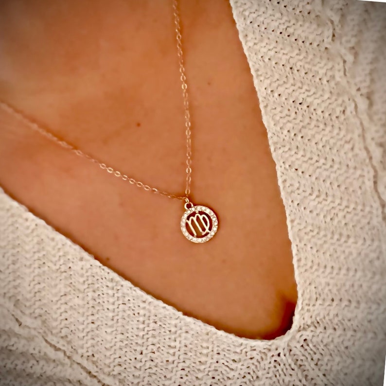 Zodiac Necklaces, 18k Gold Plated Jewelry, Astrology Necklace, Constellation Pendant, Horoscope ...