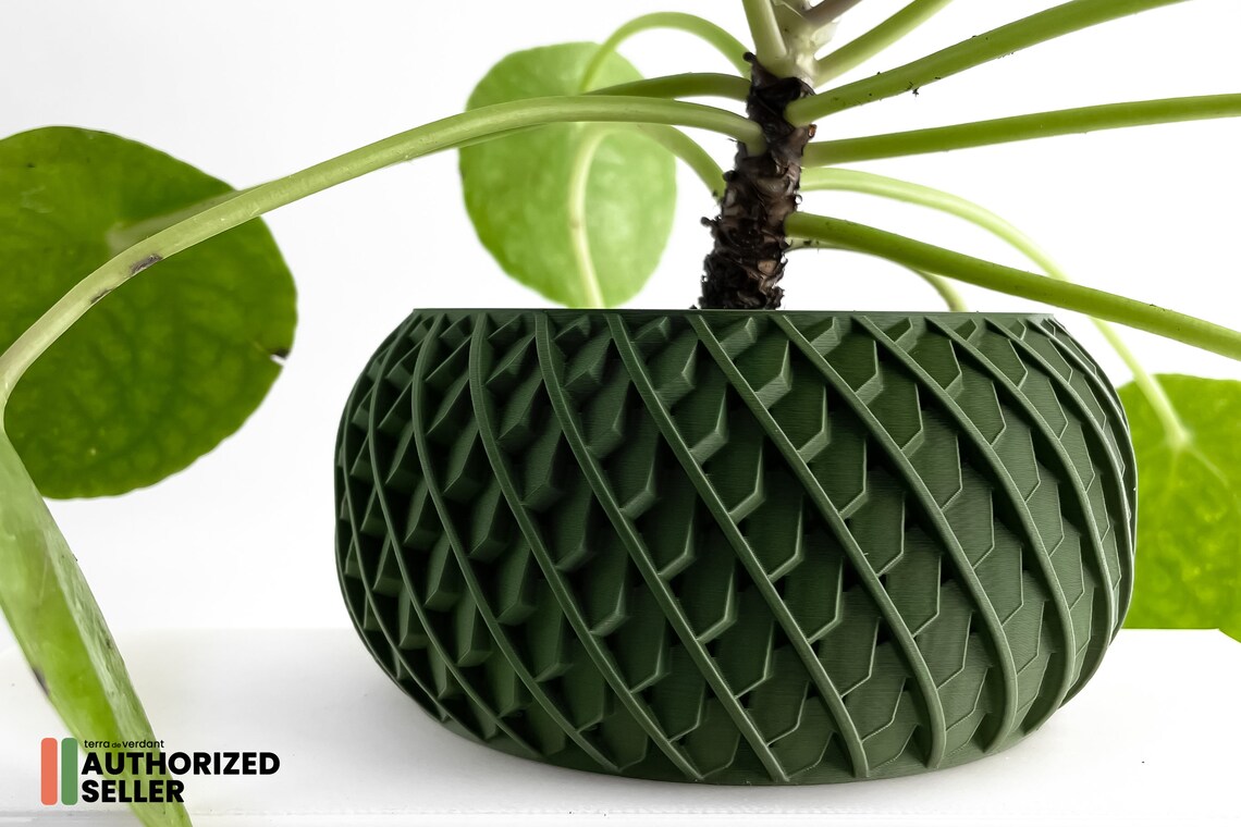 Evlar Planter Pot With Drainage and Tray | Planter for Succulents | 3 4 ...
