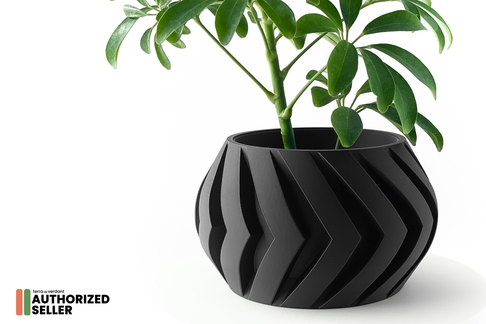 Manse Planter Pot With Drainage and Tray | Planter for Succulents | 3 4 ...