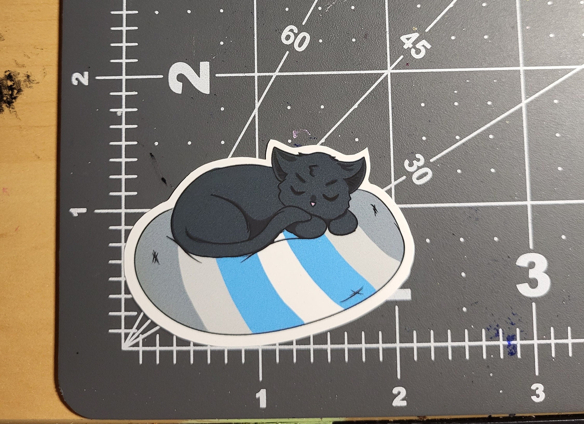 Cat Sticker demiboy LGBTQA Pride Sticker - Etsy