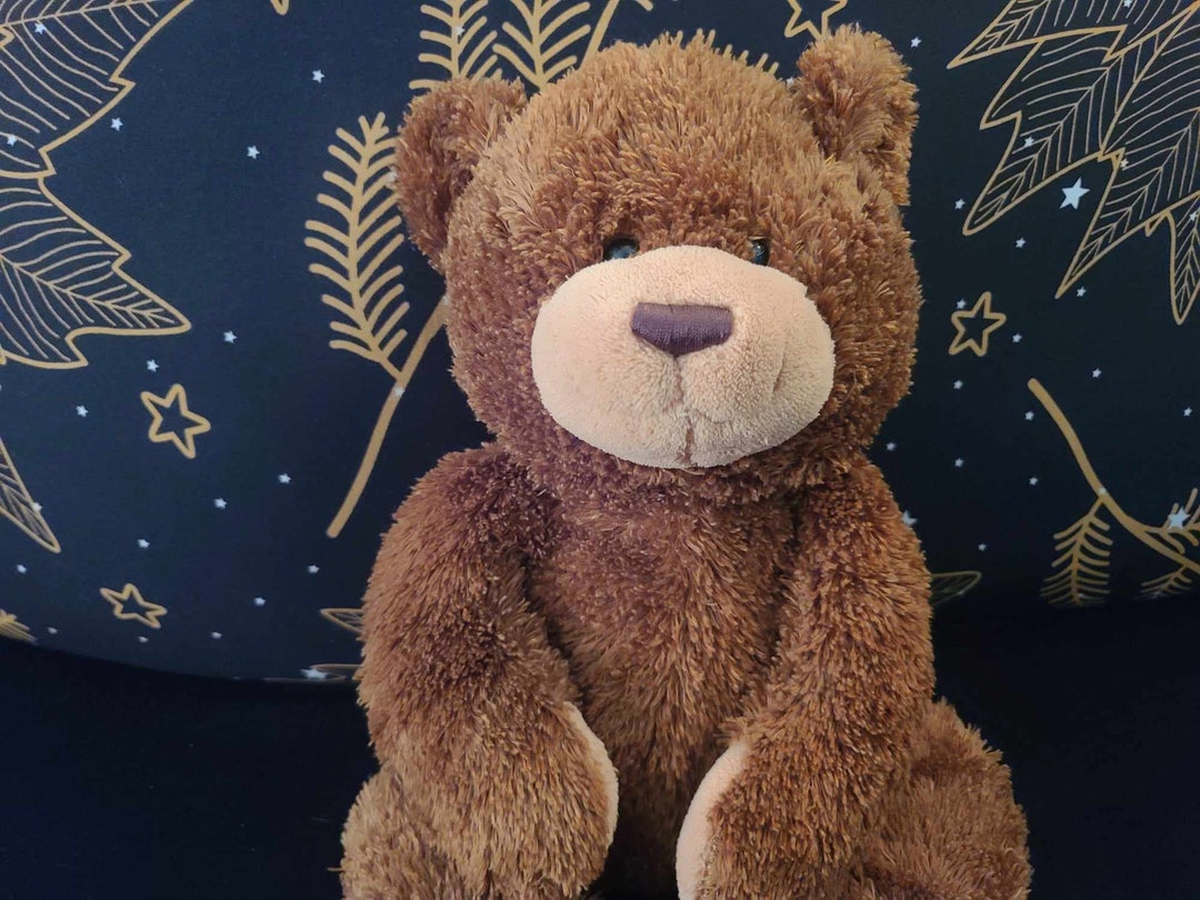 Jules the Universal Studios Teddy Bear! - Etsy