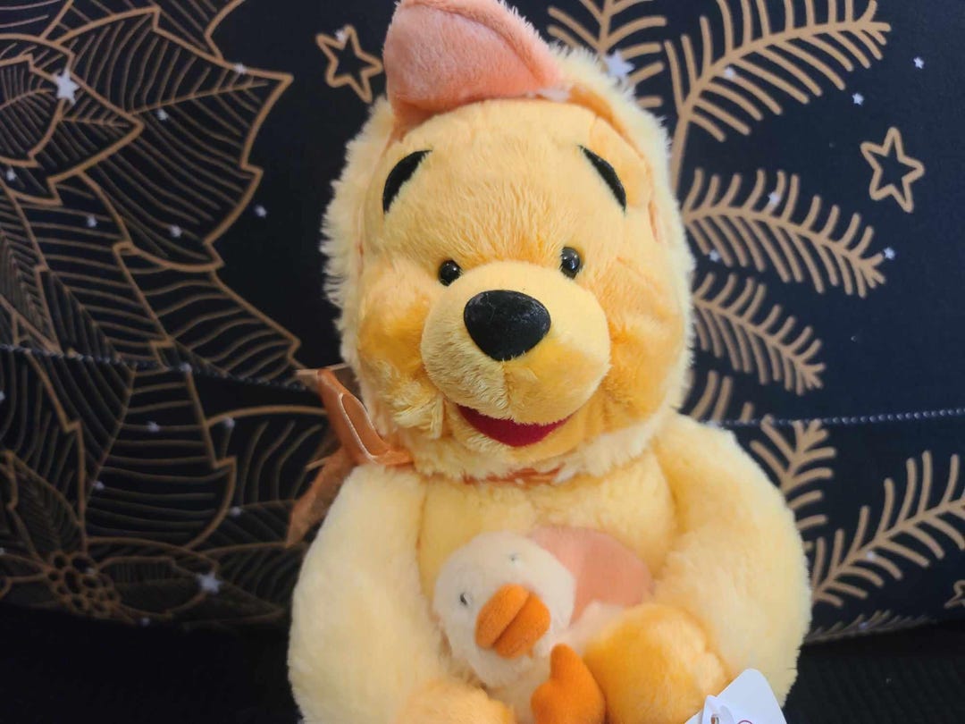 Disney Pooh Bear and His Duckie Costume - Etsy