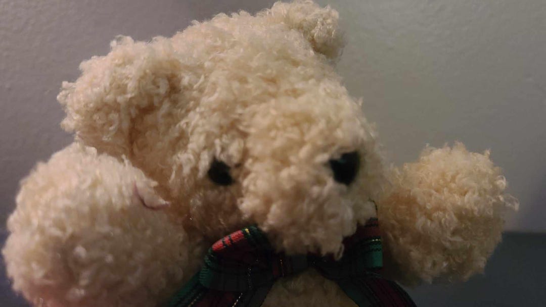 Cady the Winter Magic Teddy Bear! - Etsy