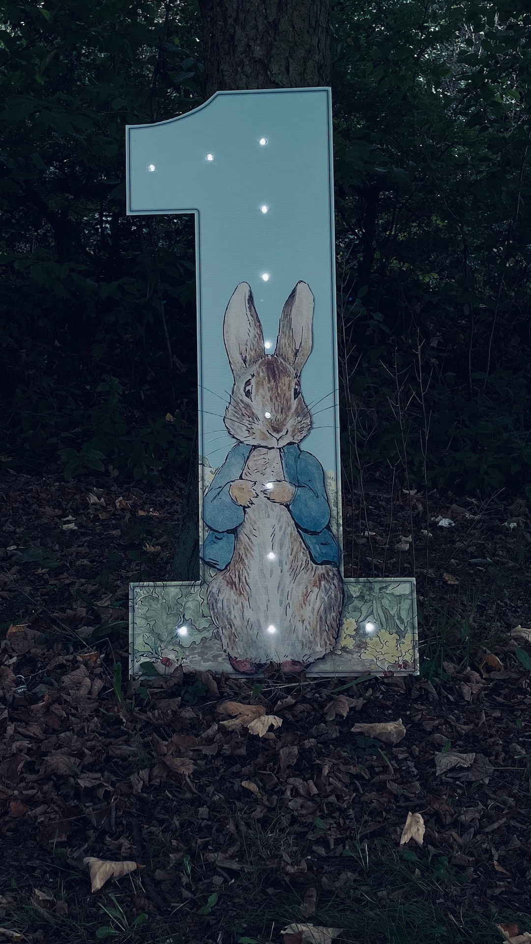 4ft High Led Light up Peter Rabbit Number ANY NUMBER - Etsy UK