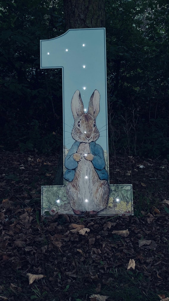 4ft High Led Light up Peter Rabbit Number ANY NUMBER - Etsy UK
