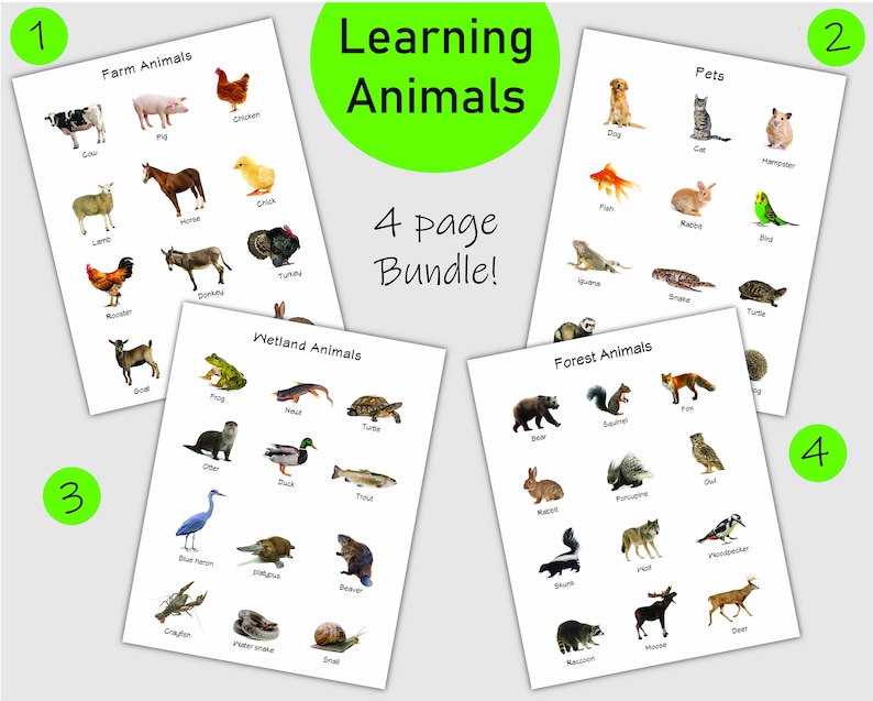 Different Types of Animals Learning Printout Pages, Pets, Farm Animals ...