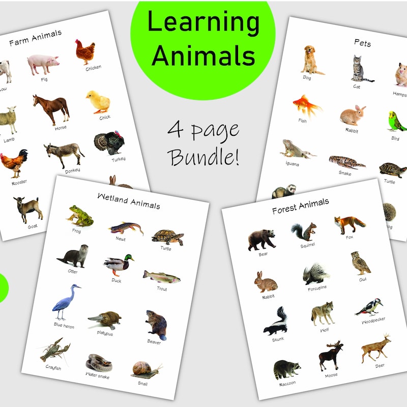 Animal Poster - Etsy