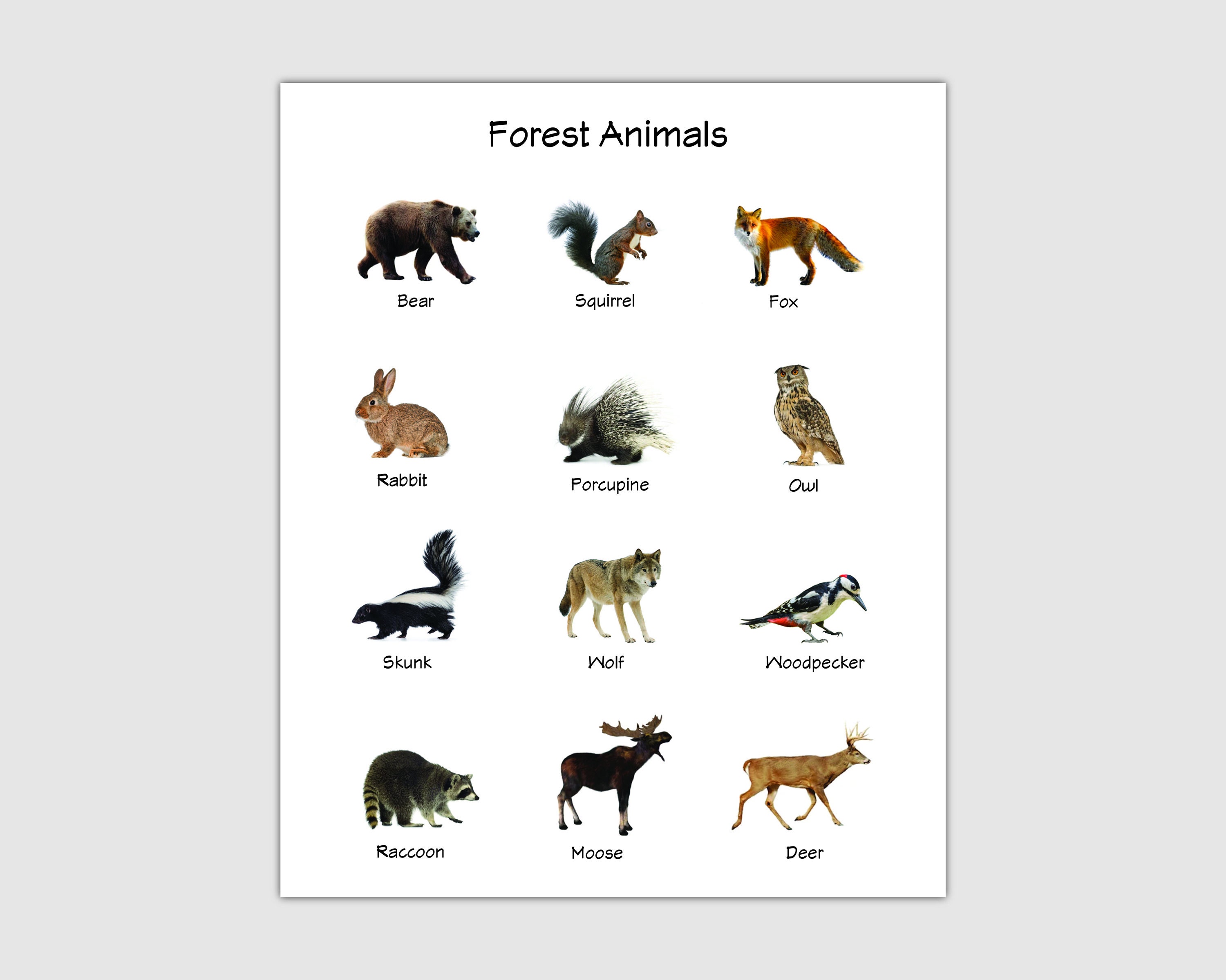 Different Types of Animals Learning Printout Pages, Pets, Farm Animals ...