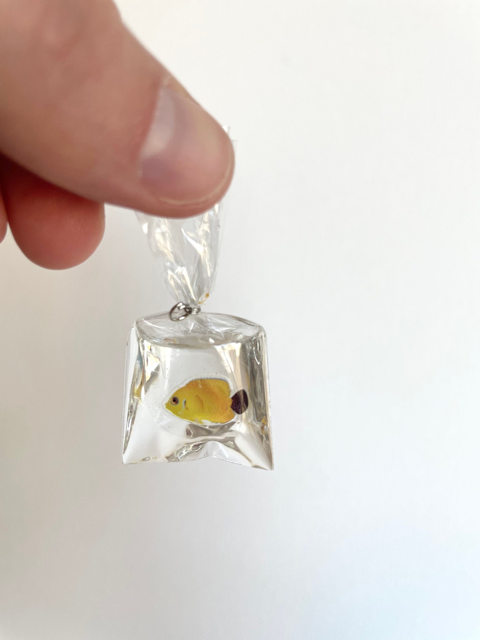 Miniature Fish in Clear Plastic Bag, Dollhouse Decor, DIY Crafting ...