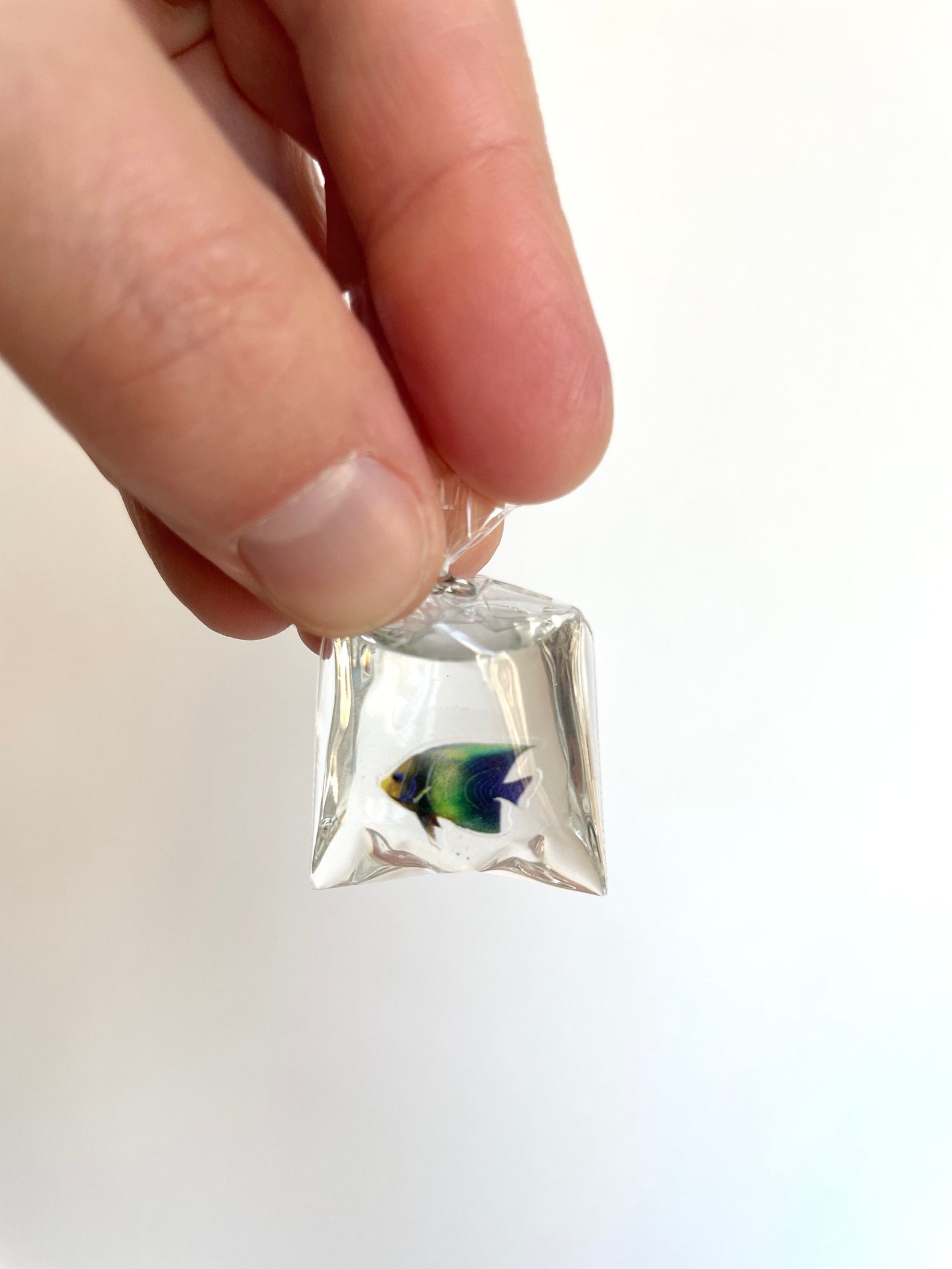 Miniature Fish in Clear Plastic Bag, Dollhouse Decor, DIY Crafting ...
