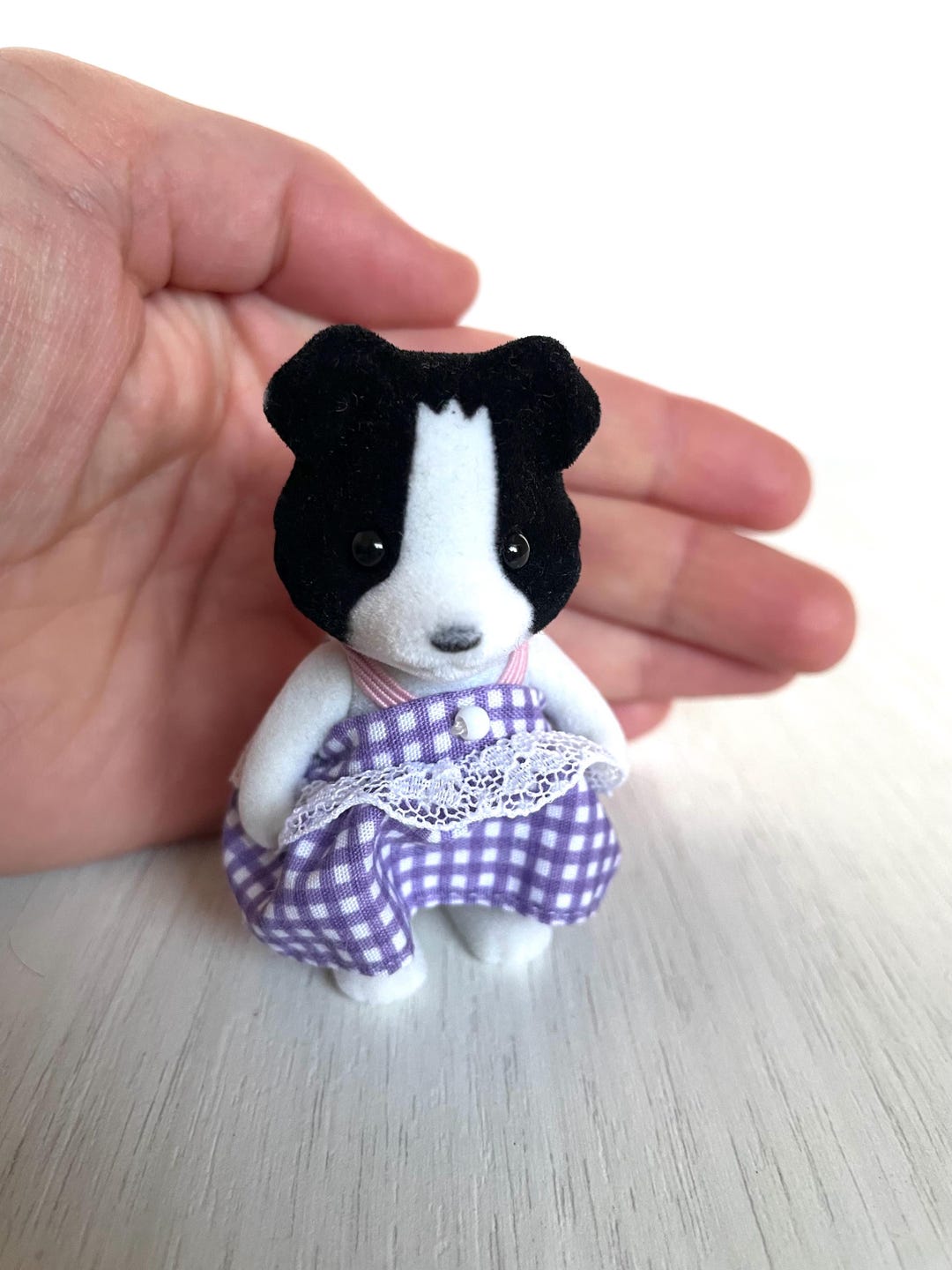 Fletcher Border Collie Dog Sister Sheep Dog in Original Purple Dress in ...