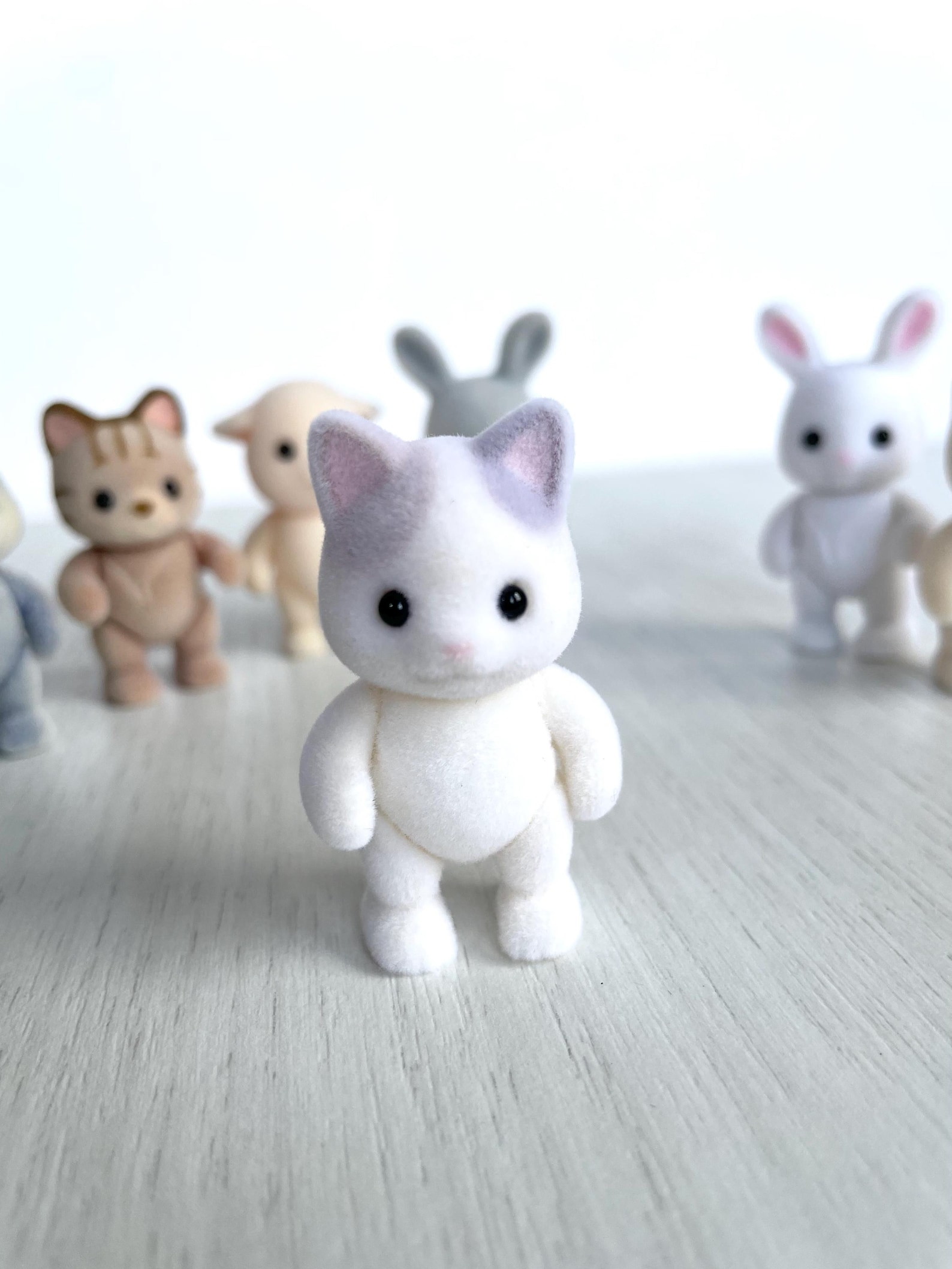 Calico Critters Standing Jointed Babies, Royal Princess Baby Options ...
