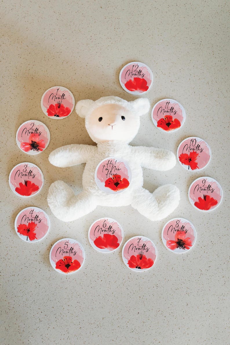 Personalized Baby Milestone Lamb Stuffed Animal With Monthly Patches - Etsy
