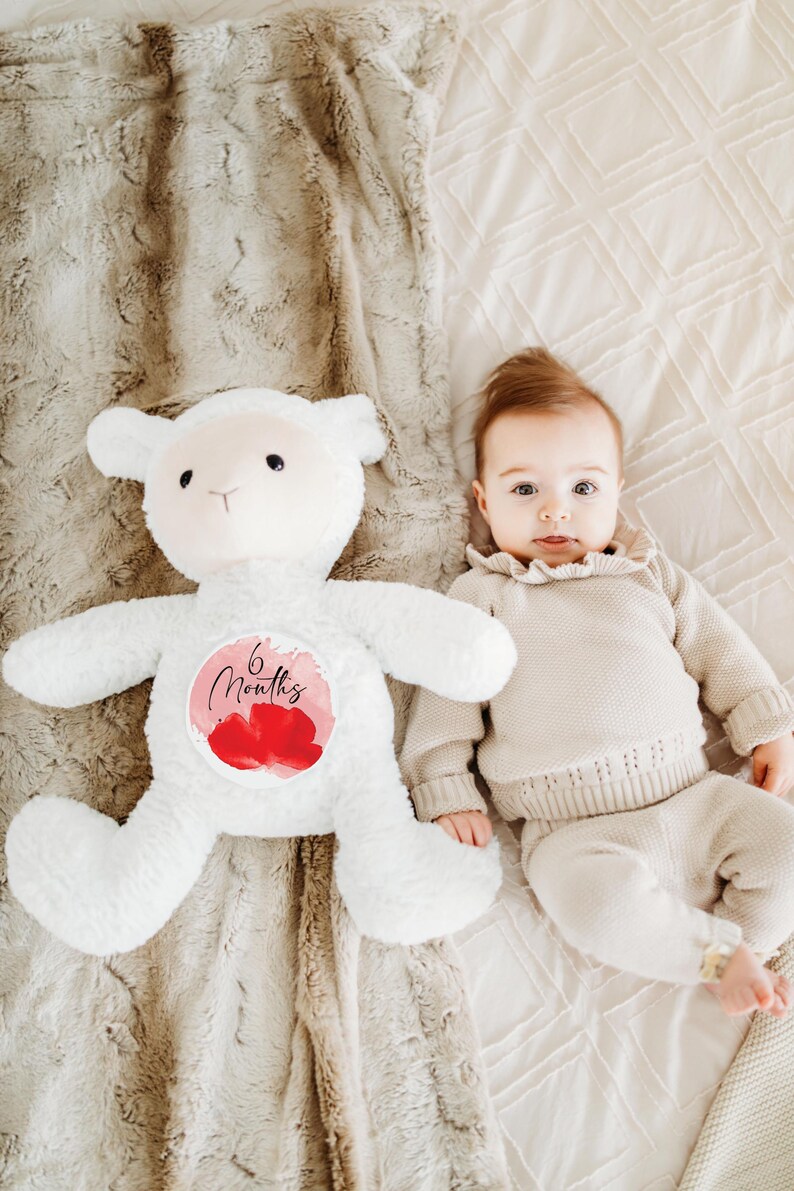 Personalized Baby Milestone Lamb Stuffed Animal With Monthly Patches - Etsy