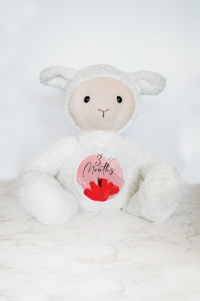 Personalized Baby Milestone Lamb Stuffed Animal With Monthly Patches - Etsy