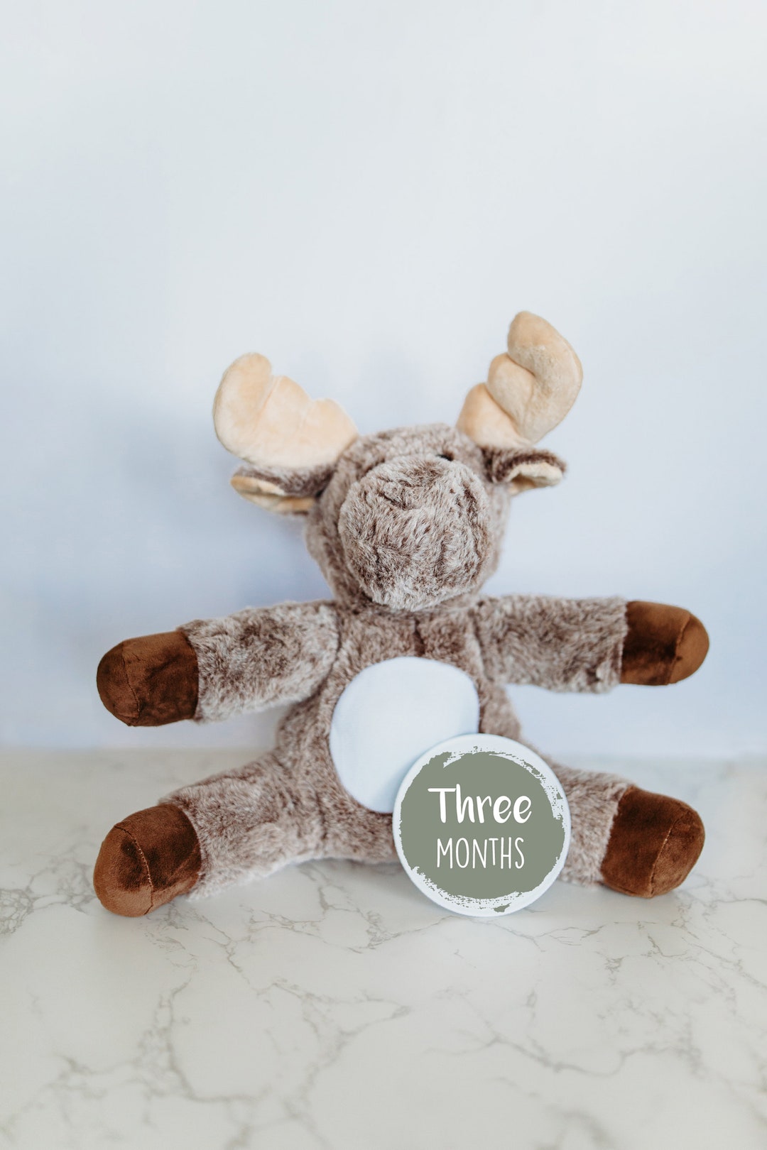 Moose Neutral Monthly Milestone Stuffed Animal, Baby Milestone, Newborn ...