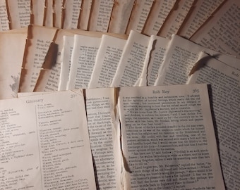 Lots of Pages Book - Etsy