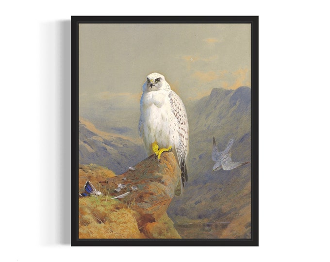 Falcon Art Deco Style Poster 18x24in - Etsy