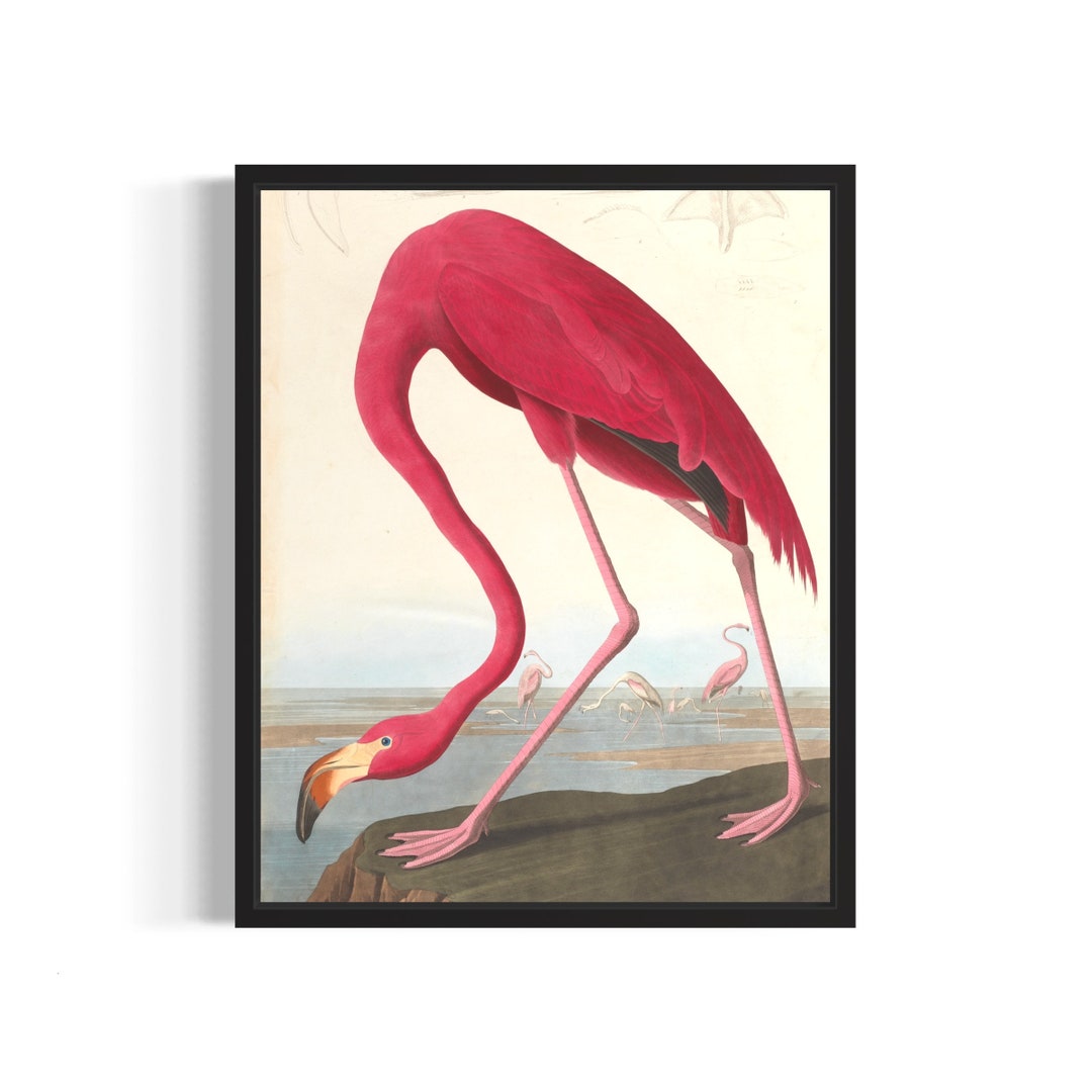 American Flamingo Poster Art Print, Animal Painting Wall Art Decor - Etsy