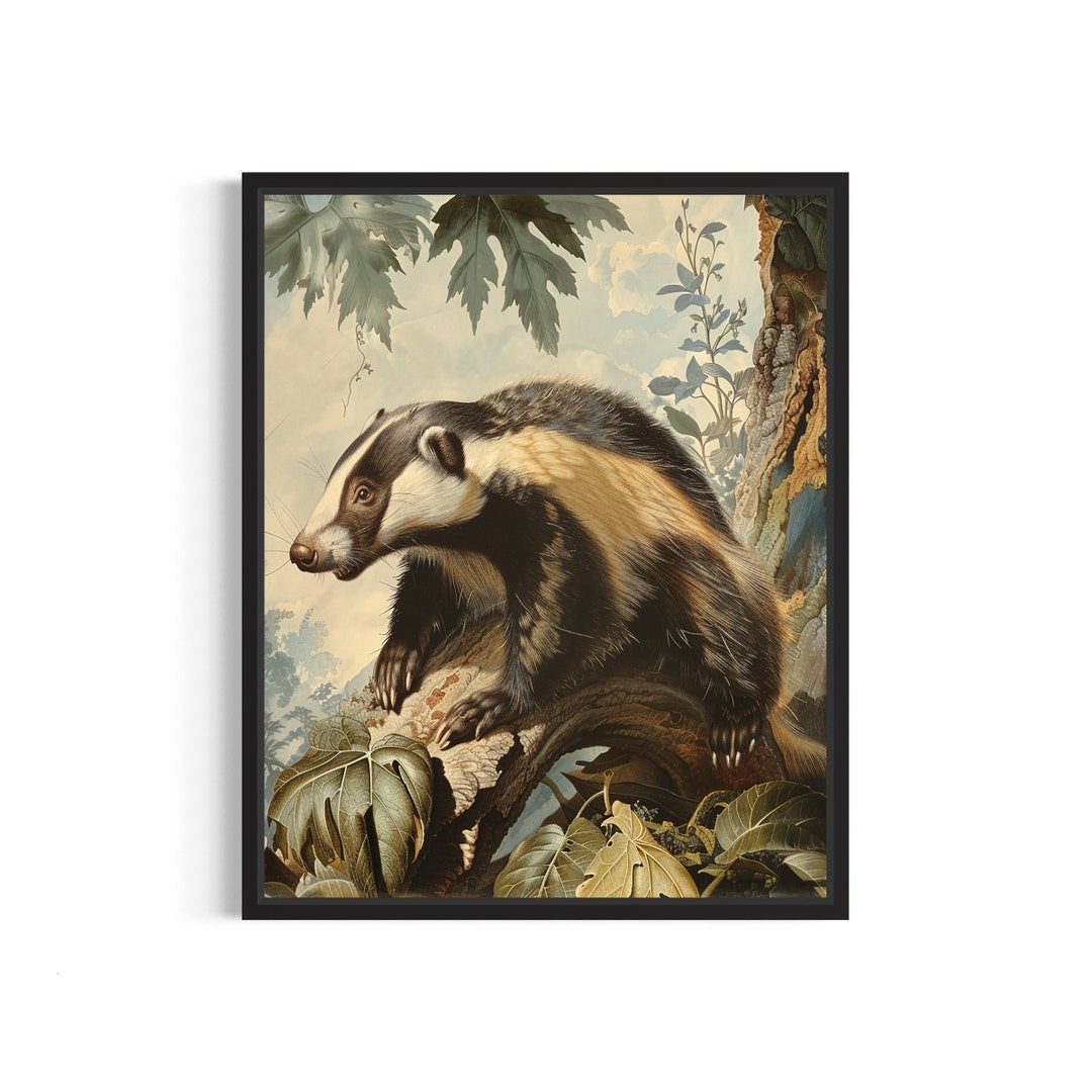 Badger Poster Art Print, Vintage Animal Painting Wall Decor - Etsy