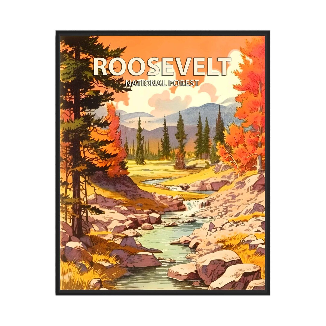 Roosevelt National Forest Poster Art Print, Retro National Park Gifts ...