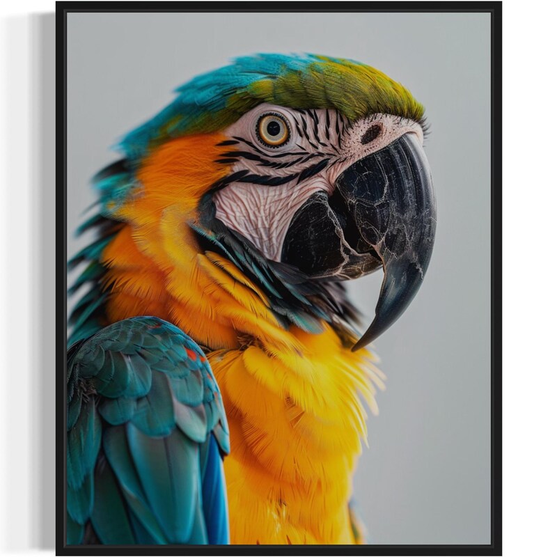 Parrot Poster - Etsy