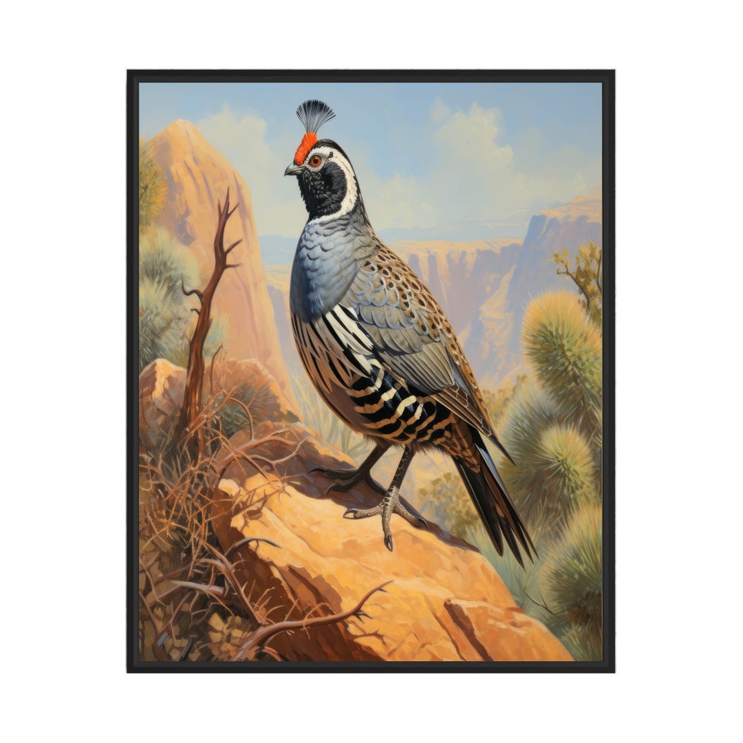California Quail Art Print Poster, Vintage Bird Wall Art Painting, Bird ...