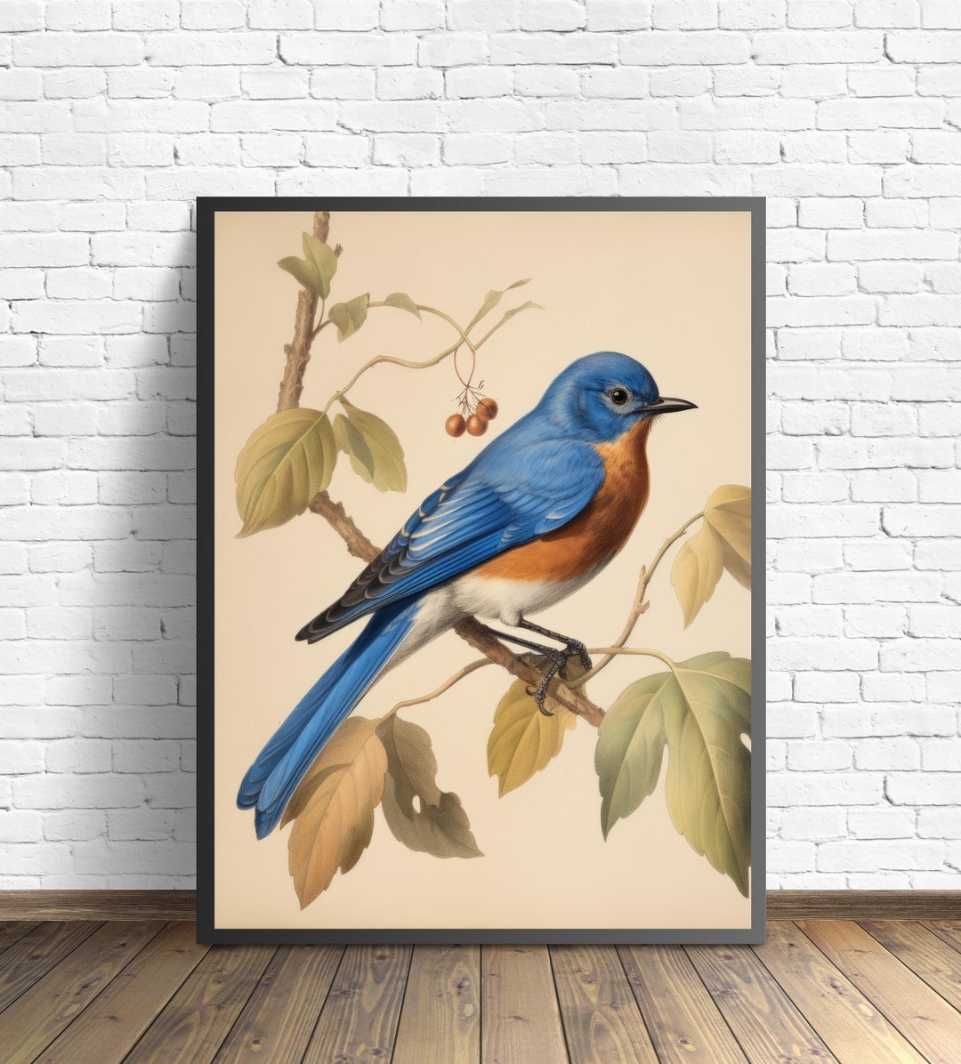 Bluebird Bird Poster Art Print, Animal Retro Artwork Painting - Etsy