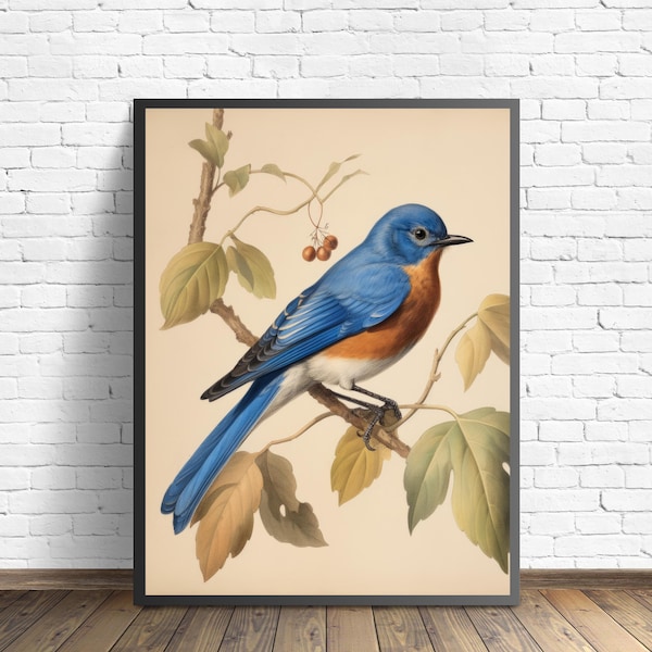 Bluebird Print - Etsy