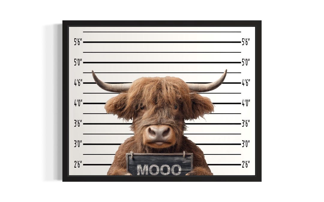 Highland Cow Mugshot Poster Art Print, Aniaml Wall Art Painting Picture ...