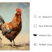 Rhode Island Red Chicken Art Print Poster Vintage Bird Wall - Etsy