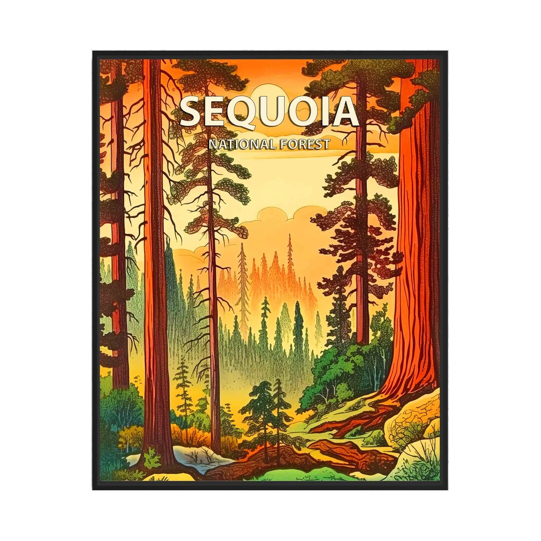 Sequoia National Forest Poster Art Print, Retro National Park Gifts - Etsy