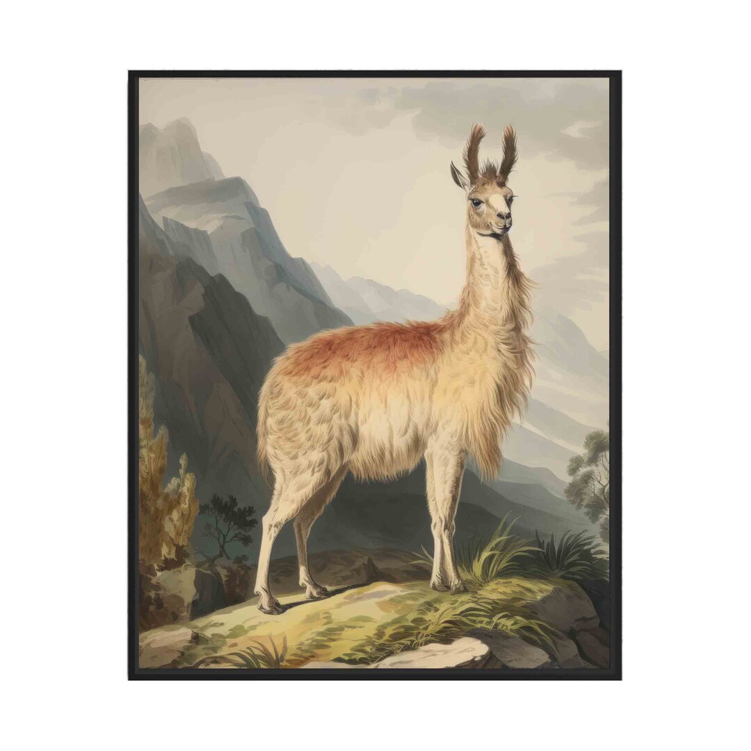 Llama Art Print Posters, Animal Abstracts Wall Art Painting Decoration ...