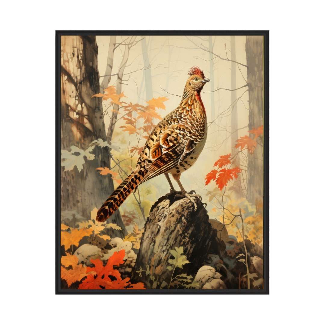 Ruffed Grouse Art Print Poster, Vintage Bird Wall Art Painting, Bird ...